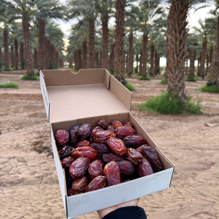 Arizona Date Company - Organic Medjool Dates